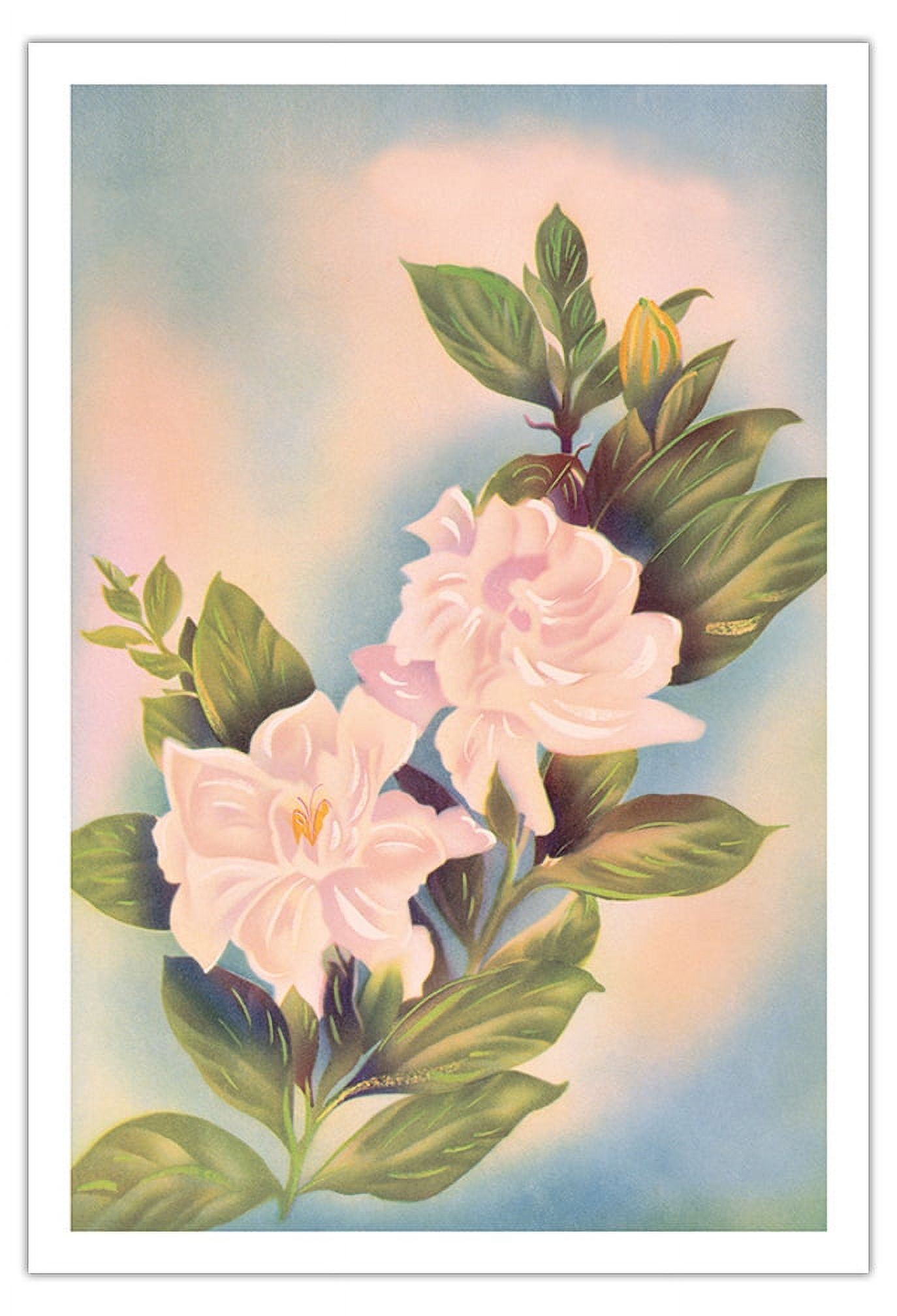 Hawaiian Gardenia (Nanu) - Vintage Hawaiian Airbrush Art by Ted ...