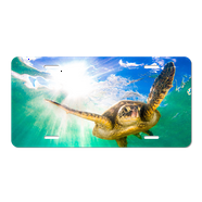 Beware of Snake Aluminum License Plate| License Plate 12" X 6" Fits Any ...