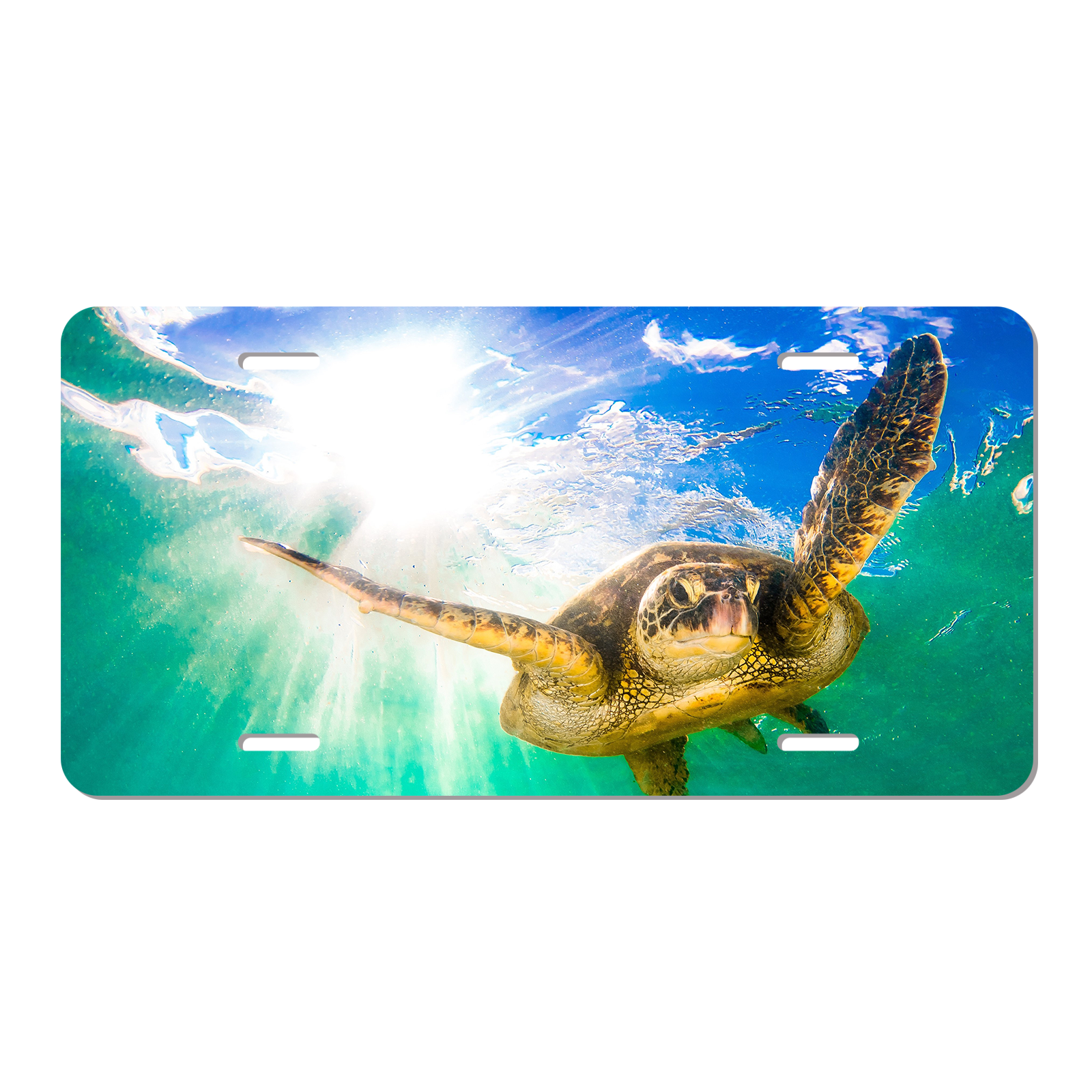 Hawaiian Green Sea Turtle License Plate Personalized License Plate ...