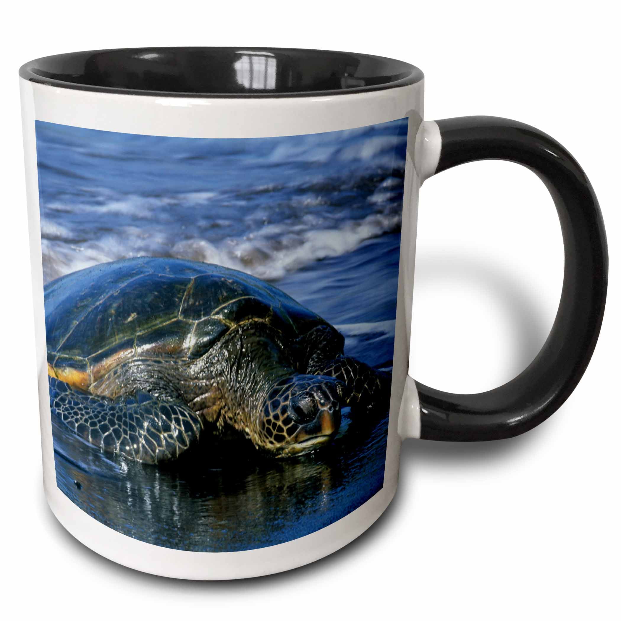 3drose, Hawaiian Green Sea Turtle, Punaluu, Hawaii - Us12 Ksc0007 ...