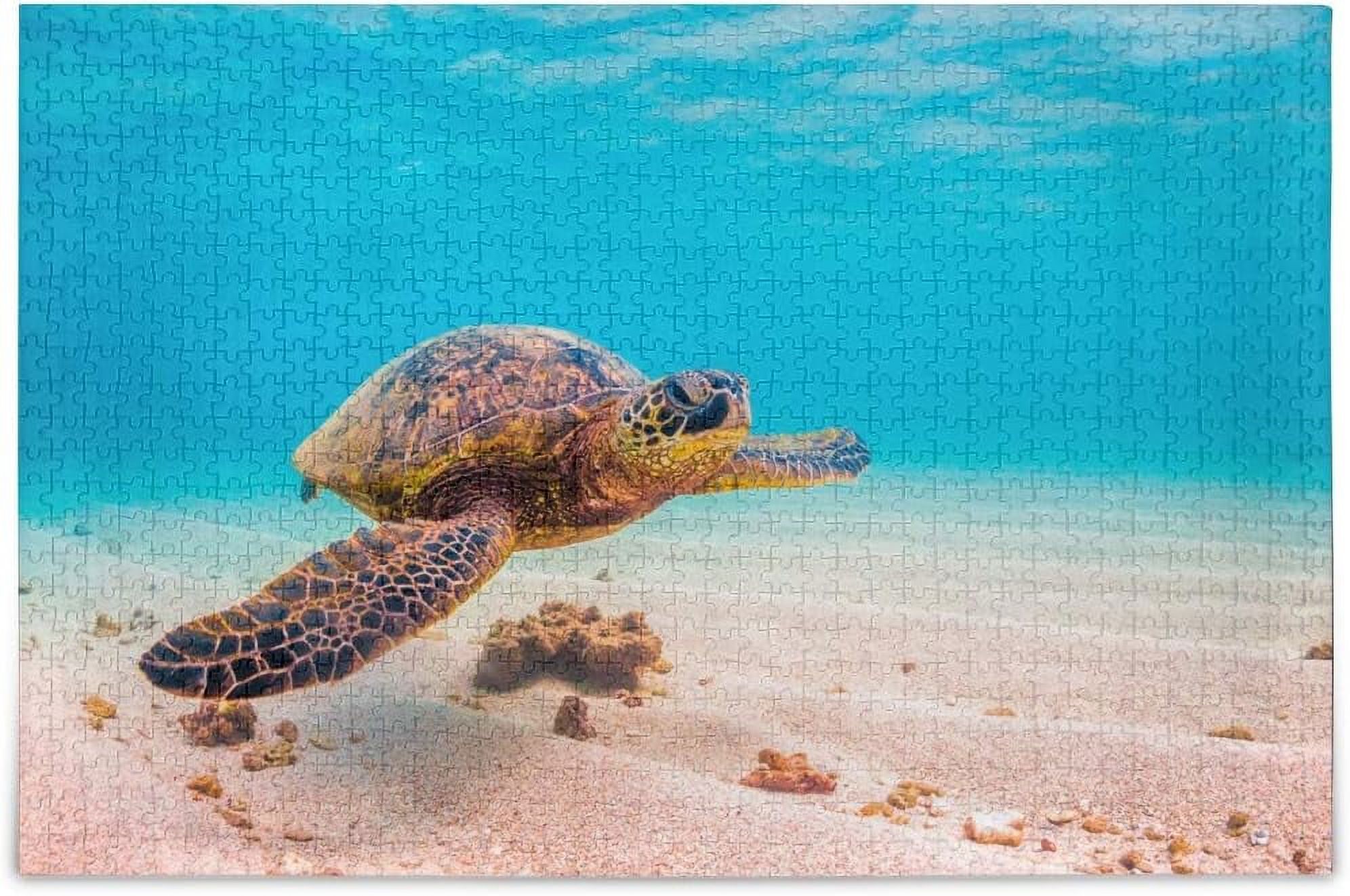 Hawaiian Green Sea Turtle Under Ocean Jigsaw Puzzles for Adults 1000 ...