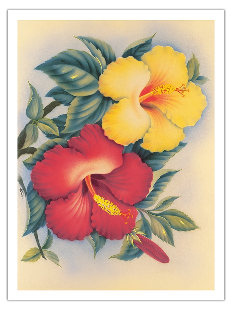 Hawaiian Hibiscus - Hawai’i State Flower - Vintage Hawaiian Airbrush ...