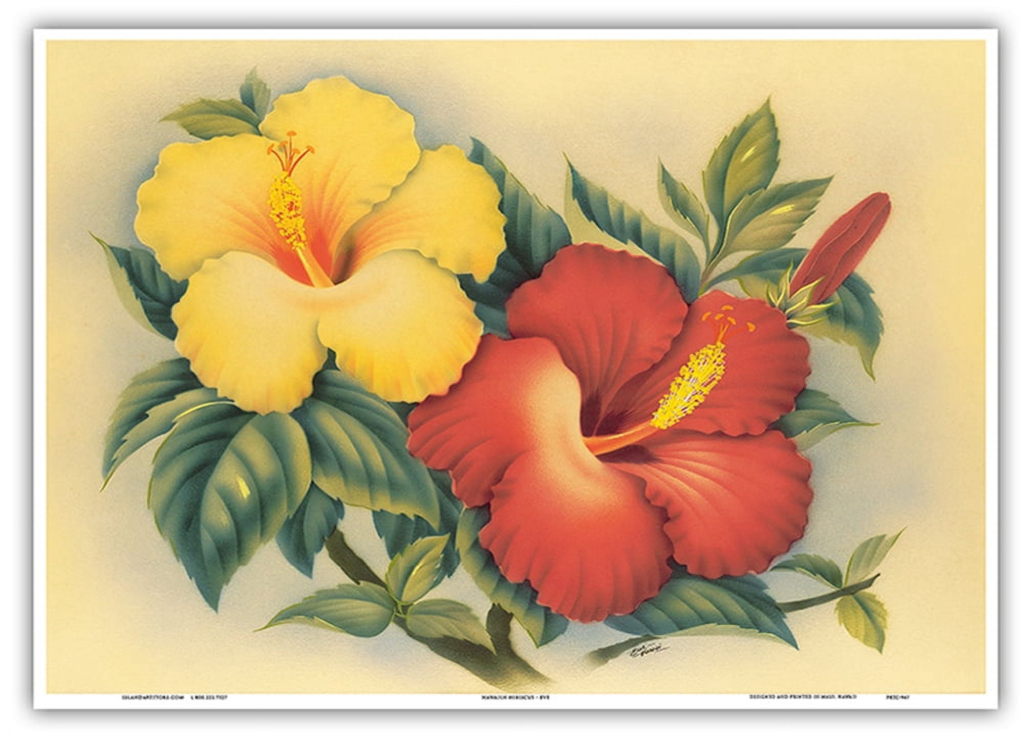Hawaiian Hibiscus - Hawai’i State Flower - Vintage Hawaiian Airbrush ...