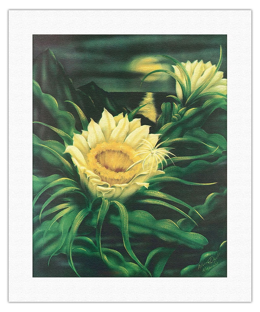Hawaiian Night-Blooming Cereus (Panini o Kapunahou) - Honolulu Queen of ...
