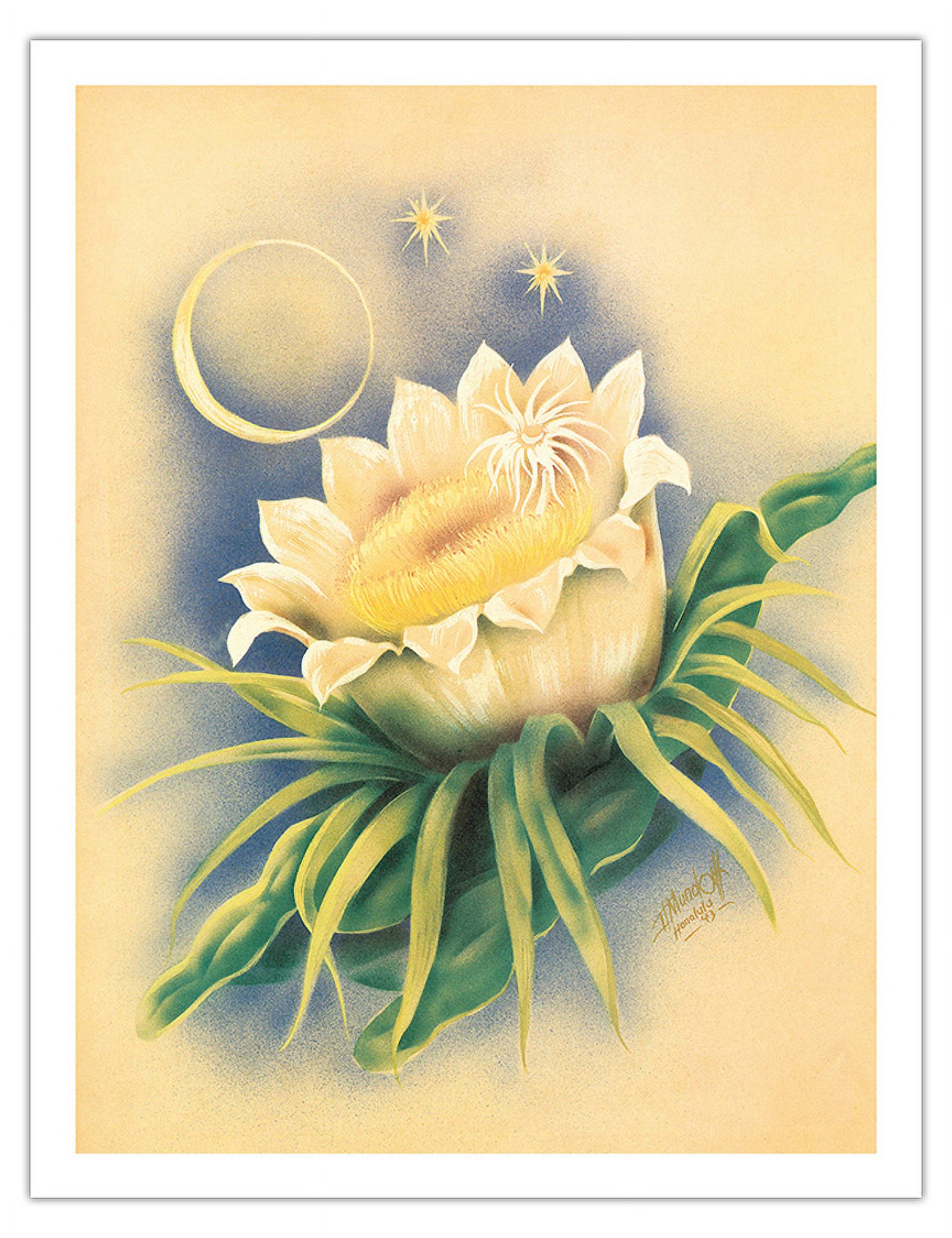 Hawaiian Night Blooming Cereus (Panini o Kapunahou) - Honolulu Queen of ...