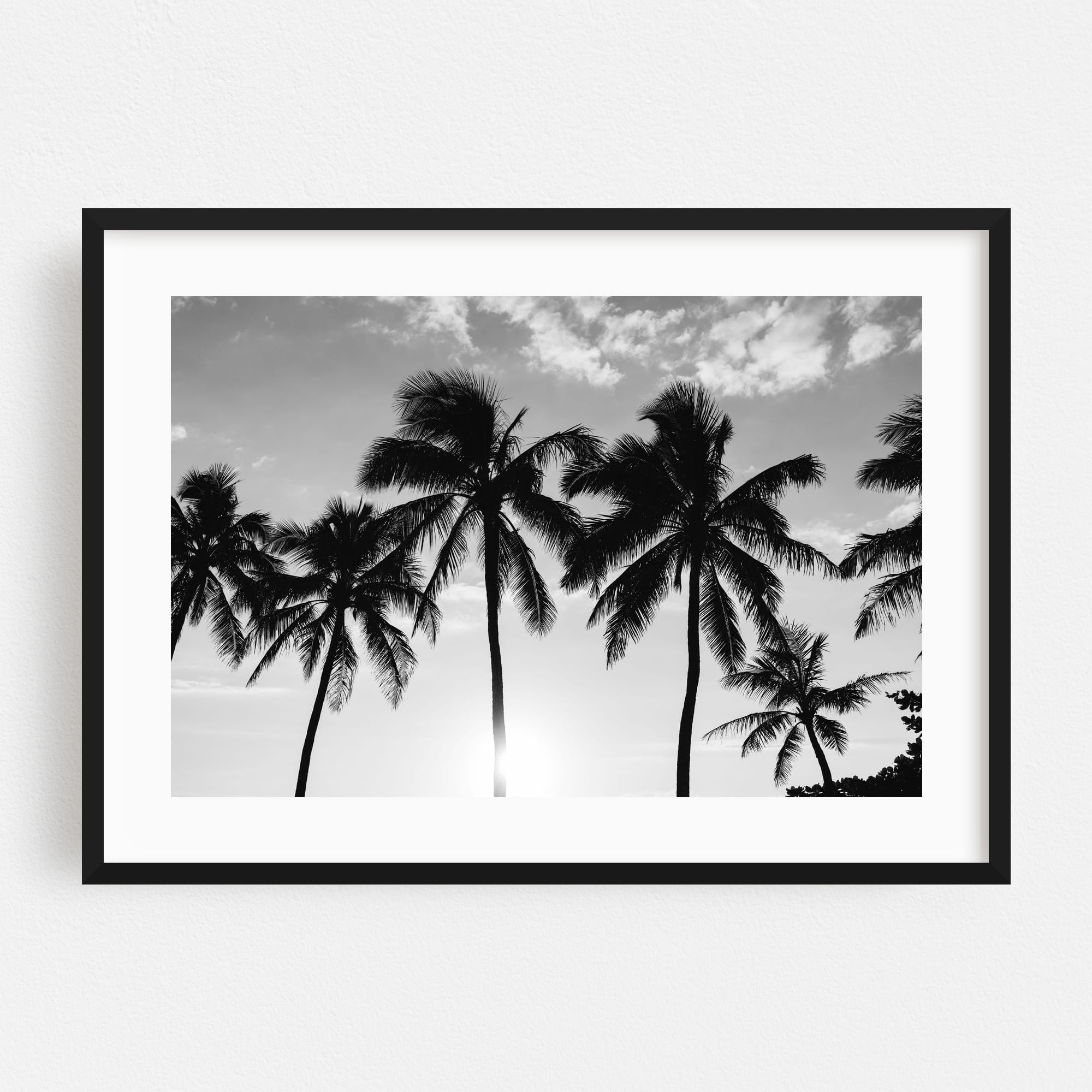 Hawaiian Palms II - Hawaii Photography Palm Tree Black and White ...