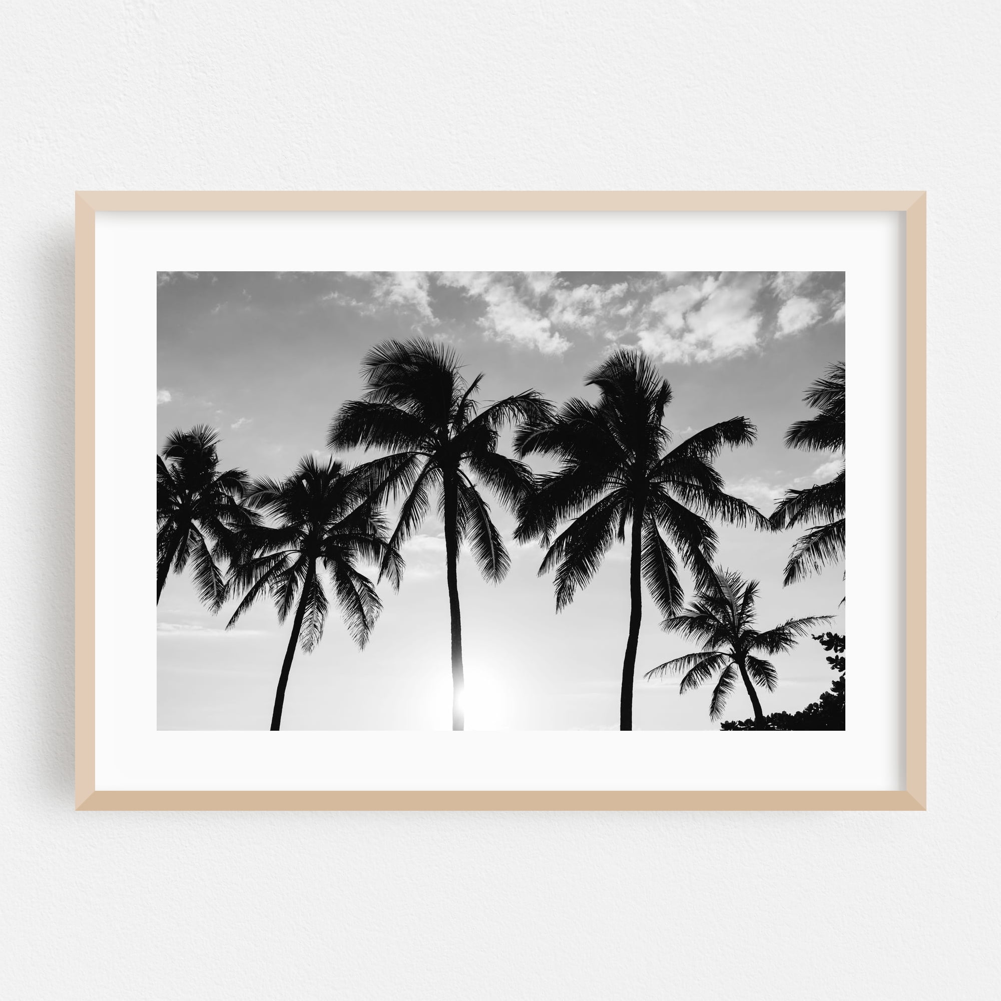 Hawaiian Palms II - Hawaii Photography Palm Tree Black and White ...