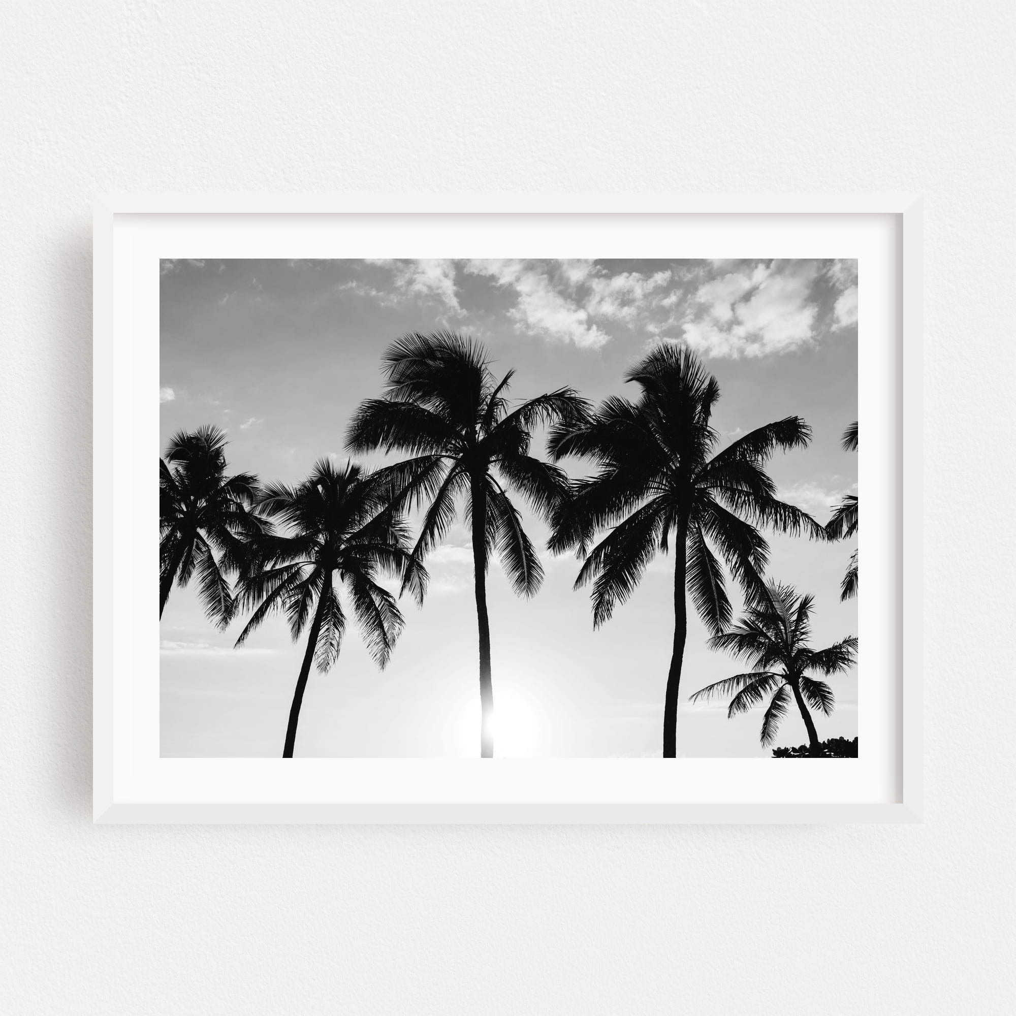 Hawaiian Palms II - Hawaii Photography Palm Tree Black and White ...