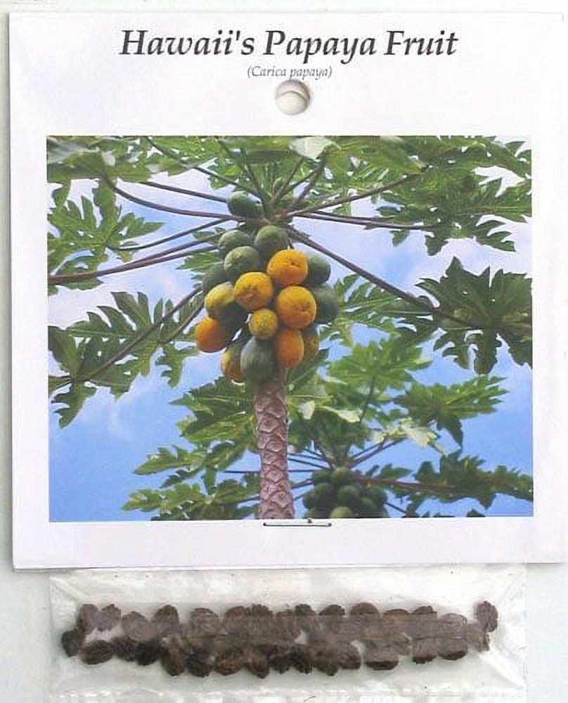 Hawaiian Papaya Fruit Seeds ~ Grow Hawaii (Pack of 10) - Walmart.com