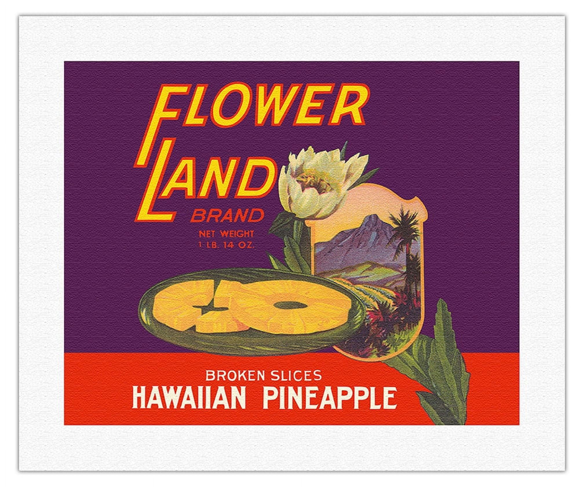 Hawaiian Sliced Pineapple - Flower Land Brand - Vintage Canned Fruit ...