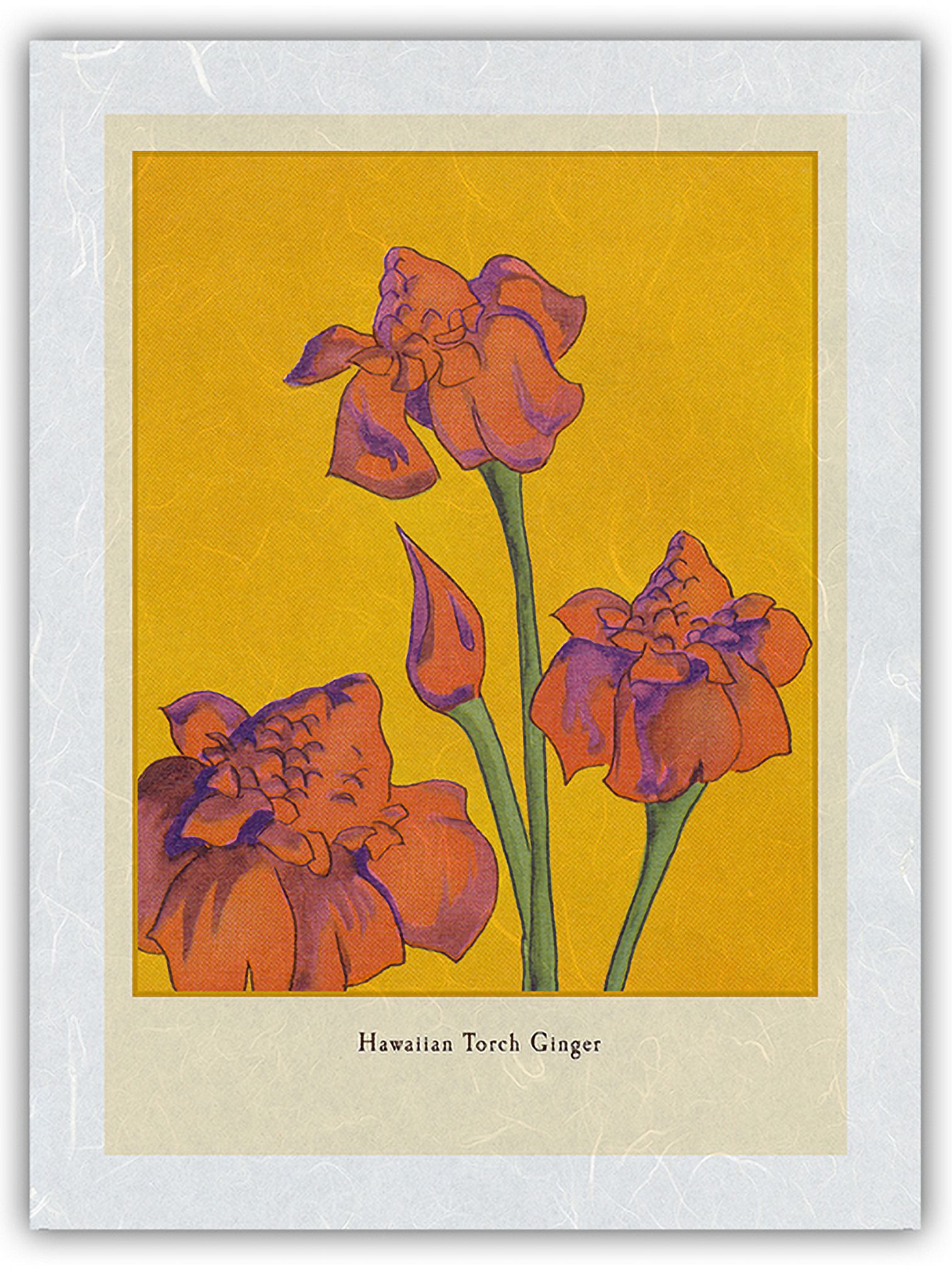 Hawaiian Torch Ginger - Vintage Hawaiian Christmas Card c.1930s ...