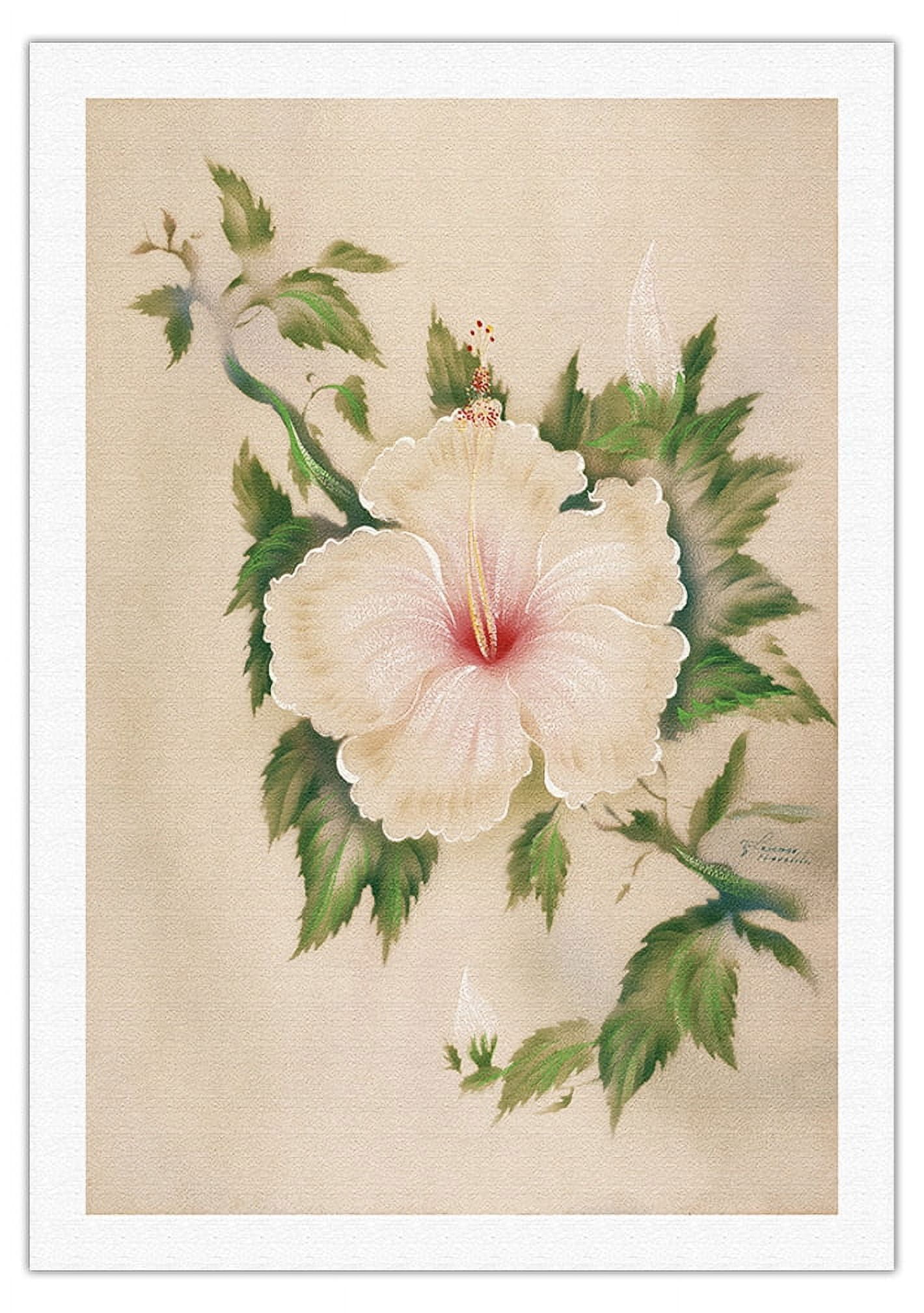 Hawaiian White Hibiscus (Pua Aloalo) - Vintage Hawaiian Airbrush Art by ...