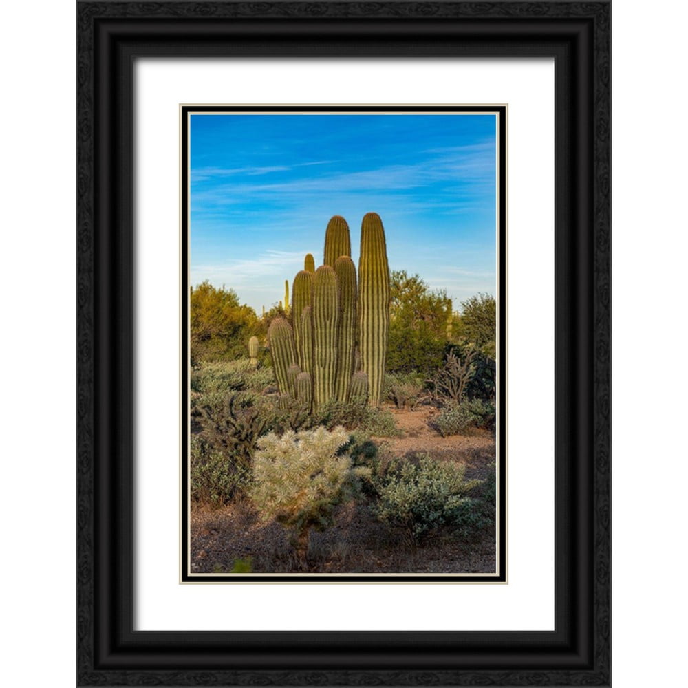 Hawkins, Peter 11x14 Black Ornate Wood Framed with Double Matting Museum Art Print Titled ...