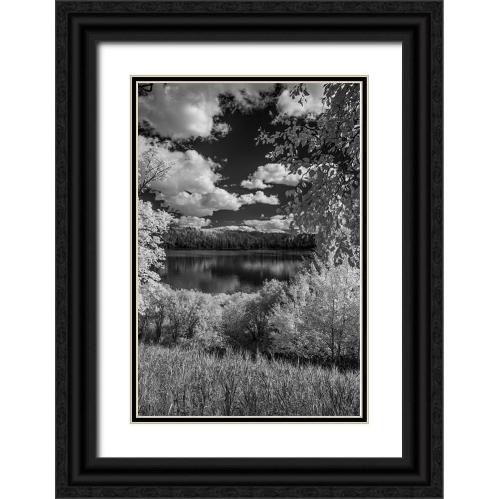Hawkins, Peter 11x14 Black Ornate Wood Framed with Double Matting Museum Art Print Titled - USA ...