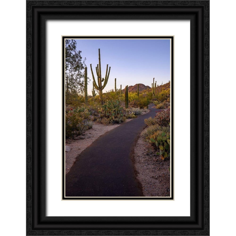 Hawkins, Peter 13x18 Black Ornate Wood Framed with Double Matting Museum Art Print Titled ...