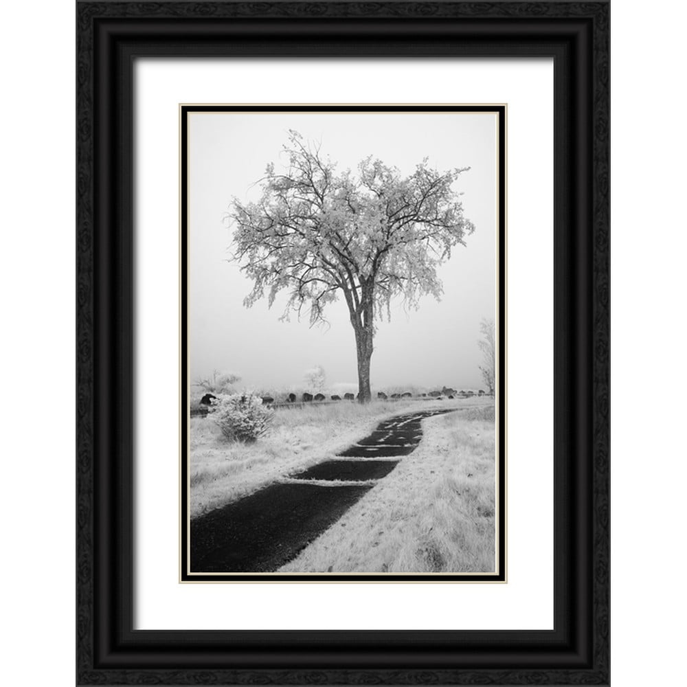 Hawkins, Peter 13x18 Black Ornate Wood Framed with Double Matting Museum Art Print Titled - USA ...