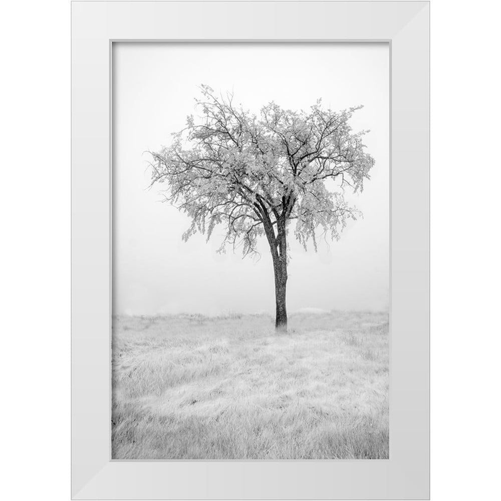 Hawkins, Peter 23x32 White Modern Wood Framed Museum Art Print Titled ...