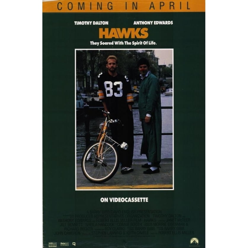 Hawks Movie Poster (11 x 17) - Walmart.com