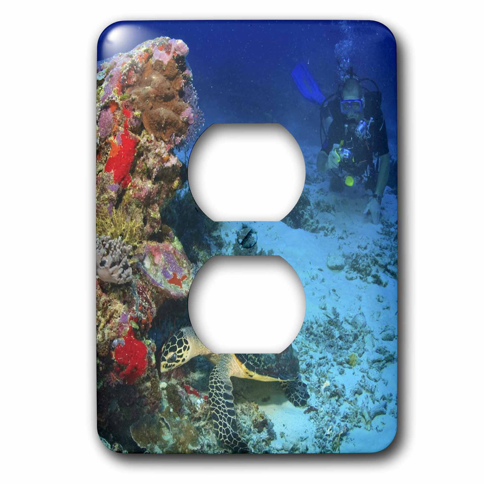 3dRose, Hawksbill Turtle, Scuba Diver, Micronesia - OC16 SWS0045 ...