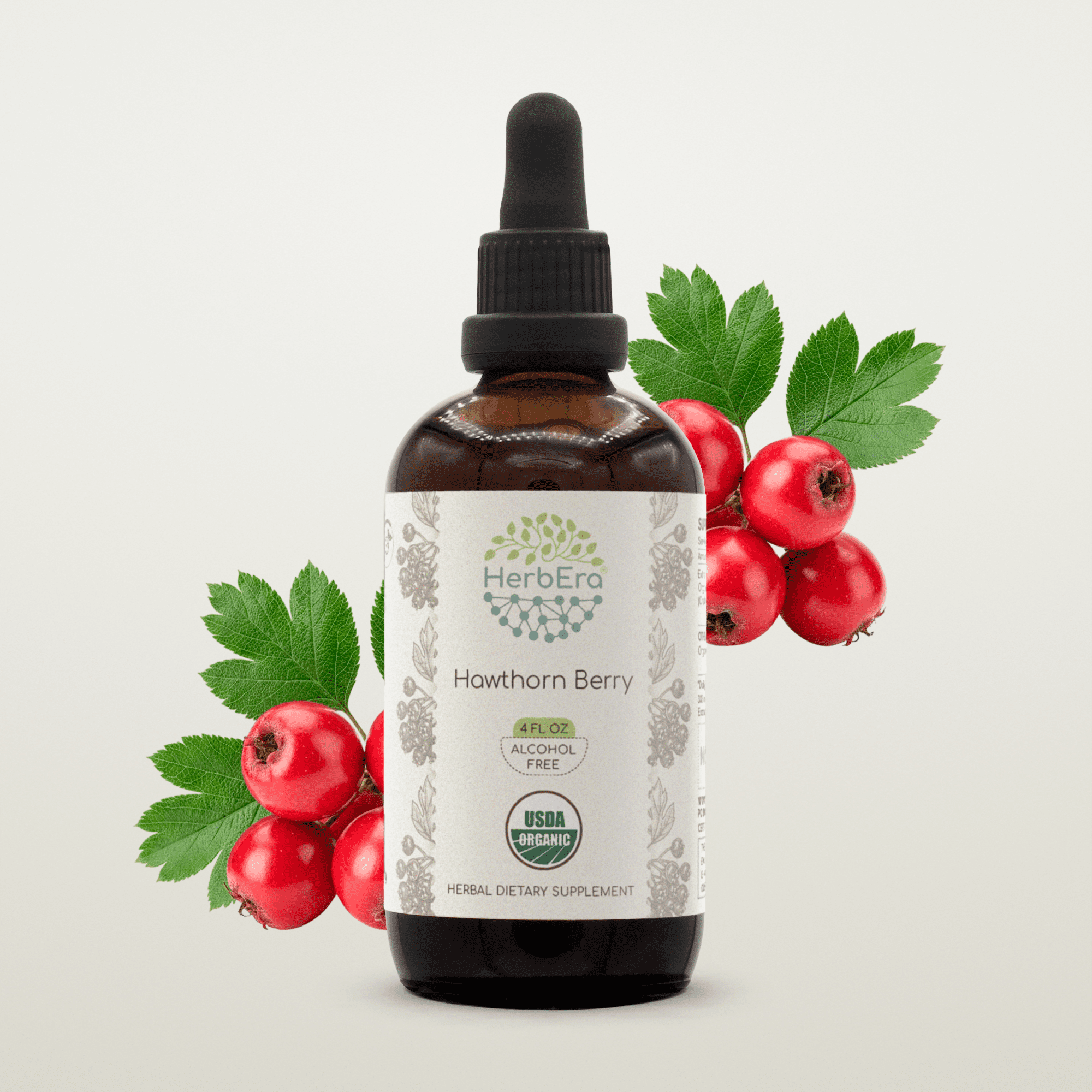 Herbera Hawthorn Berry Tincture, Heart Support Supplement, Herbal ...