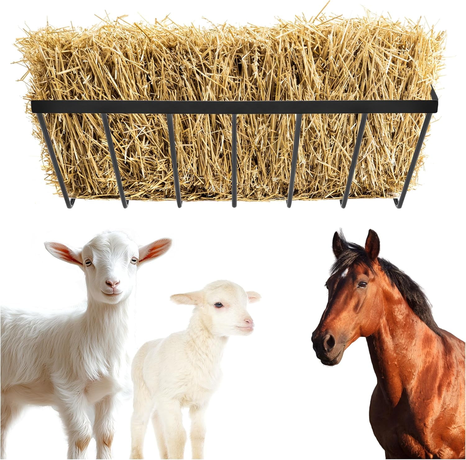 Hay Feeder Hay Rack Wall Mount Horse Goat Feeder, Heavy Duty Livestock ...