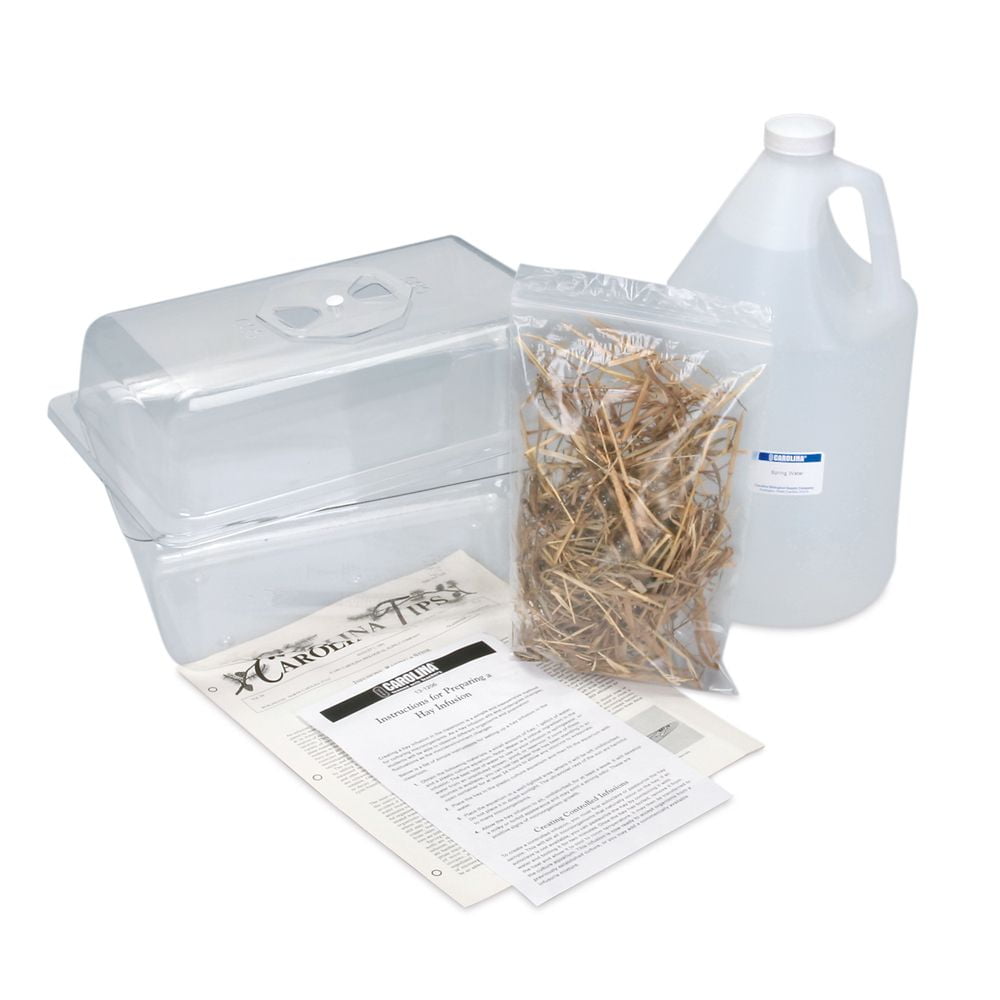 Hay Infusion Kit, Includes Timothy Hay, Plastic Culture Aquarium ...