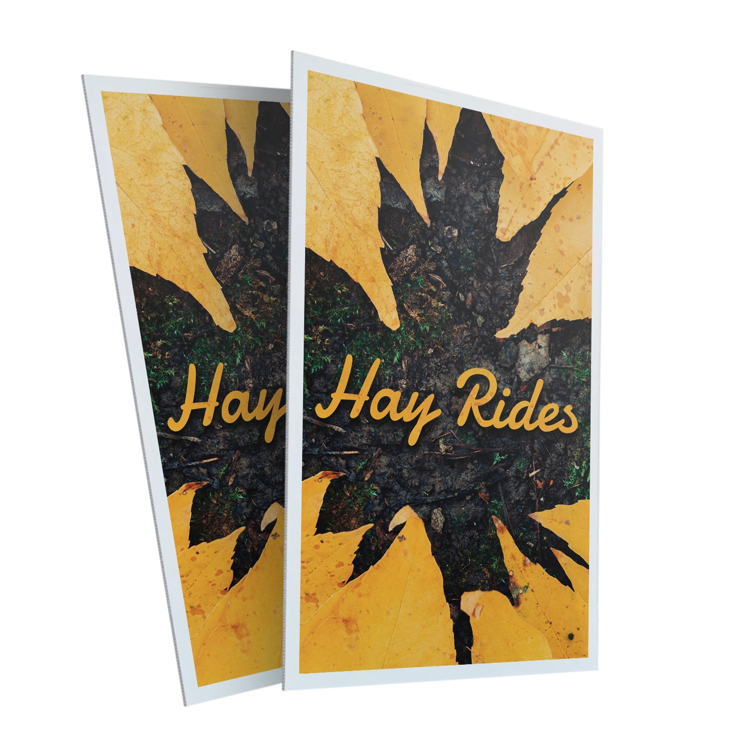 Hay Rides (2-Pack) 24 Inch x 36 Inch Plastic Signs | Sign Insert 4mm ...