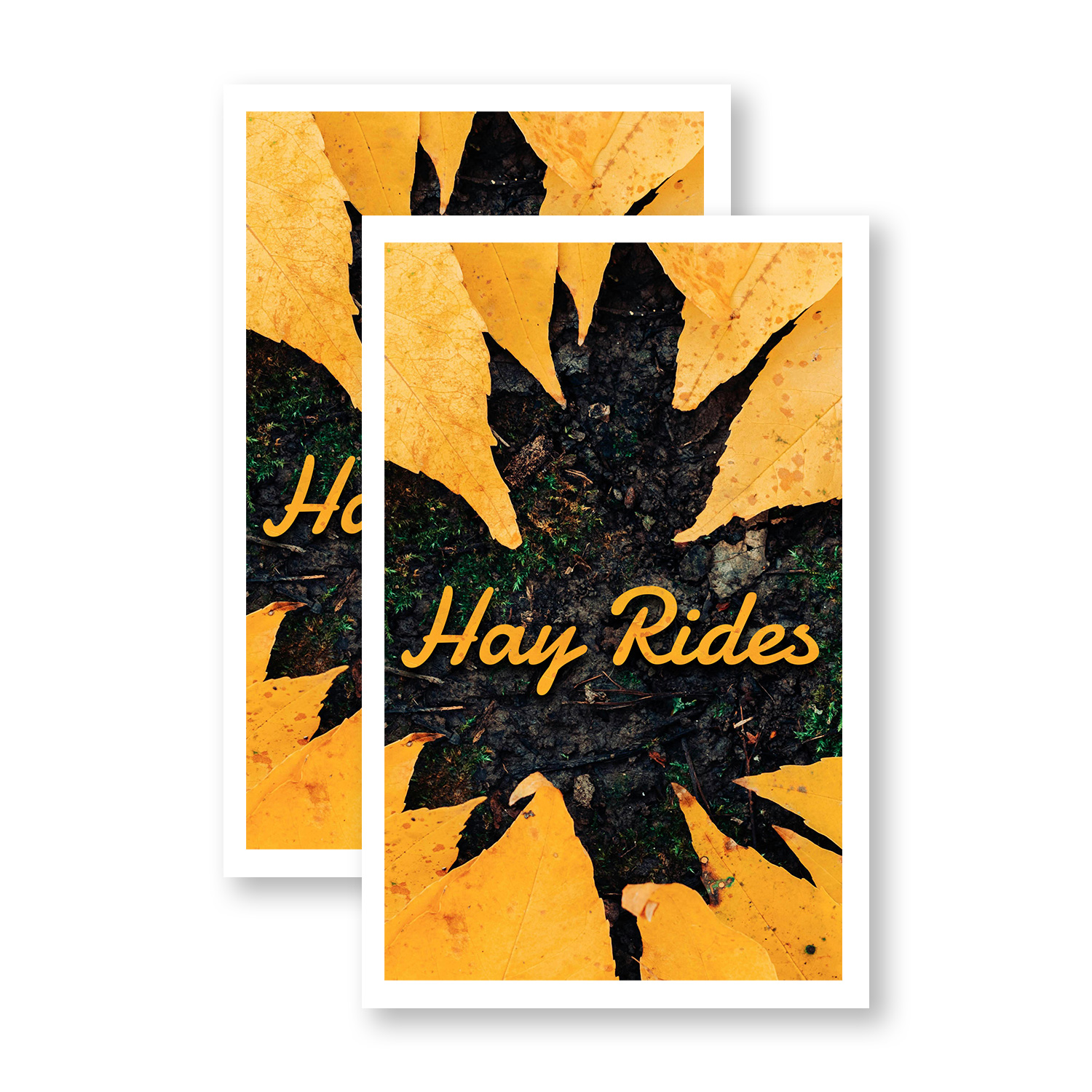 Hay Rides (2-Pack) 24 Inch x 36 Inch Vinyl Decals | Sign Insert Peel ...