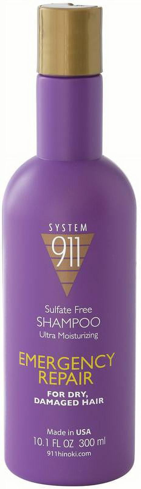 Hayashi System 911 Emergency Repair Sulfate-Free Shampoo, 10.1 Fl Oz ...
