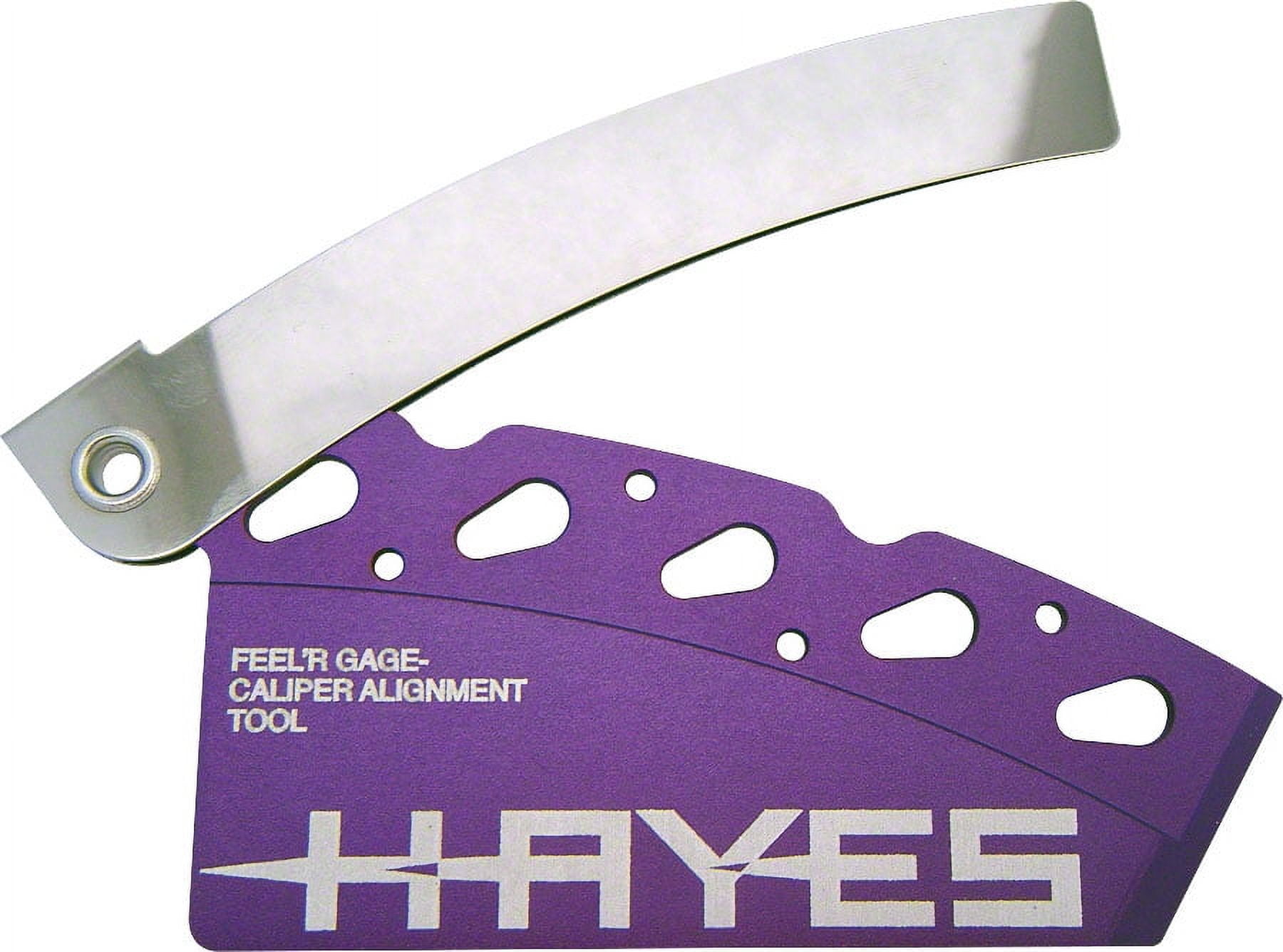 Hayes Alignment