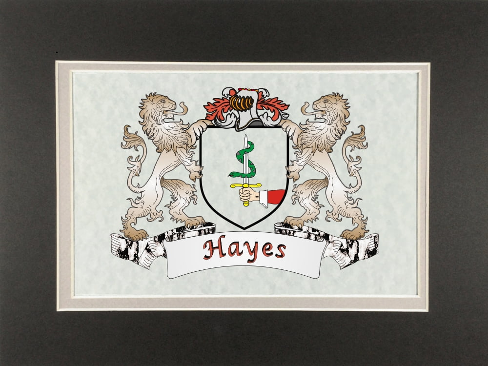 Hayes Irish Coat of Arms Print - Frameable 9" x 12" - Walmart.com