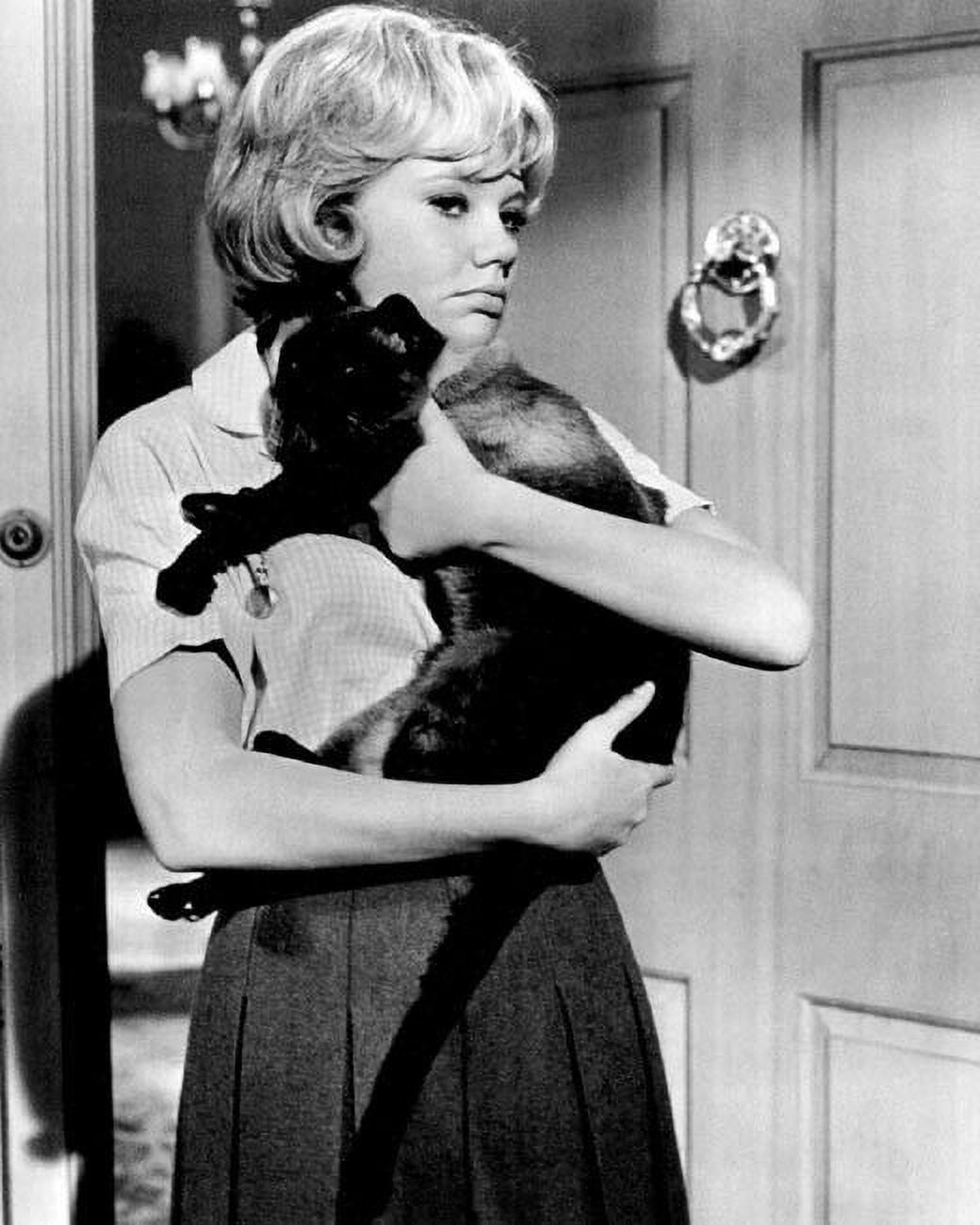 Hayley Mills holds DC Siamese cat That Darn Cat 8x10 photo - Walmart.com