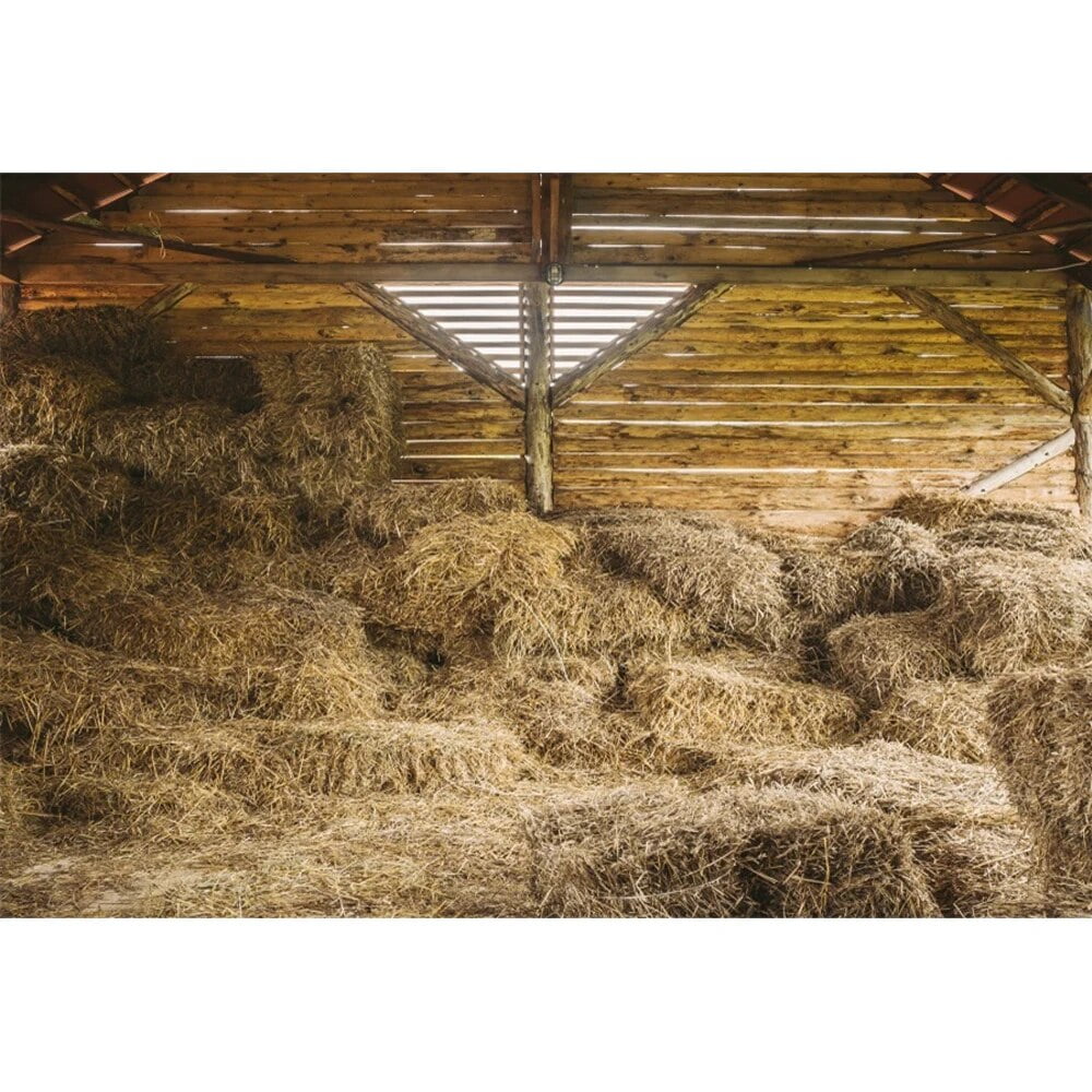 Haystacks Rustic Barn Plank Backdrop Western Cowboy Theme Party Lights ...