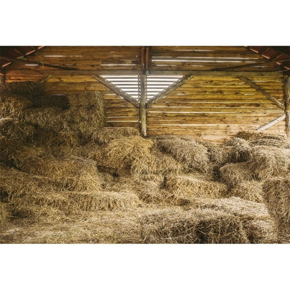 Haystacks Rustic Barn Plank Backdrop Western Cowboy Theme Party Lights ...