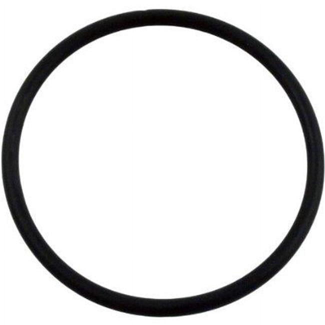 Hayward CLX110K Special Composition Viton O-Ring Cover - Walmart ...