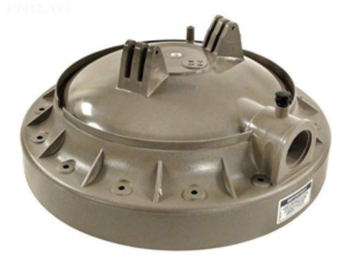 Hayward CX11194AT Pool Filter Head Replacement with New Vent Valve ...