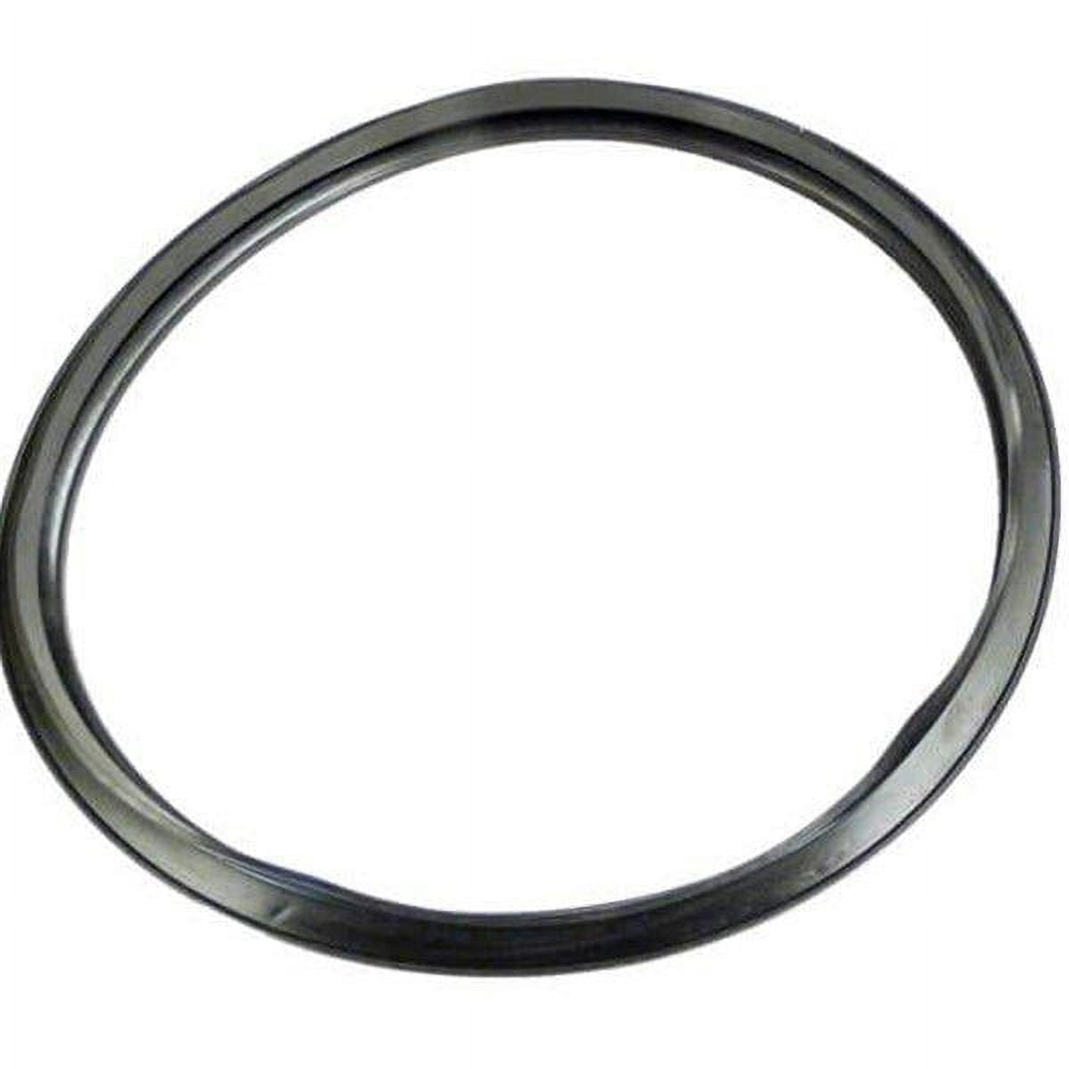 Hayward Gasket, Filter Head CX250F - Essential for Filter Maintenance ...