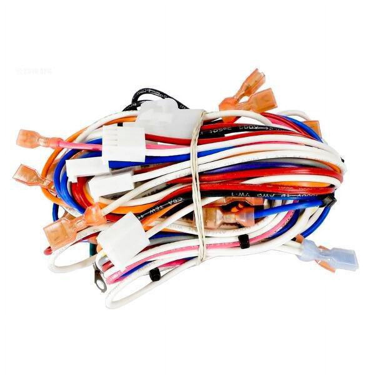 Hayward IDXLWHM1930 230V Main Wire Harness: Computer Accessories ...