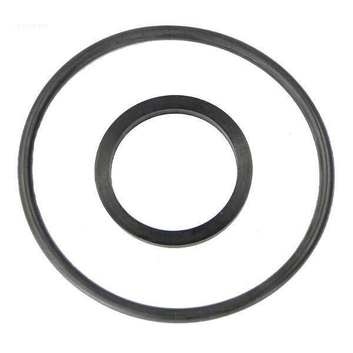 Hayward CCX1000Z5 O-Ring Replacement for Hayward Xstream Filtration ...