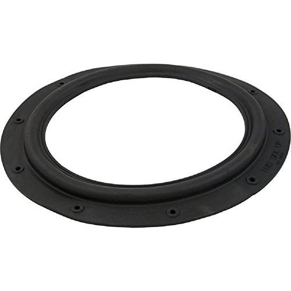 Hayward Perflex EC30 DIAPHRAGM GASKET ECX1039 - Walmart.com