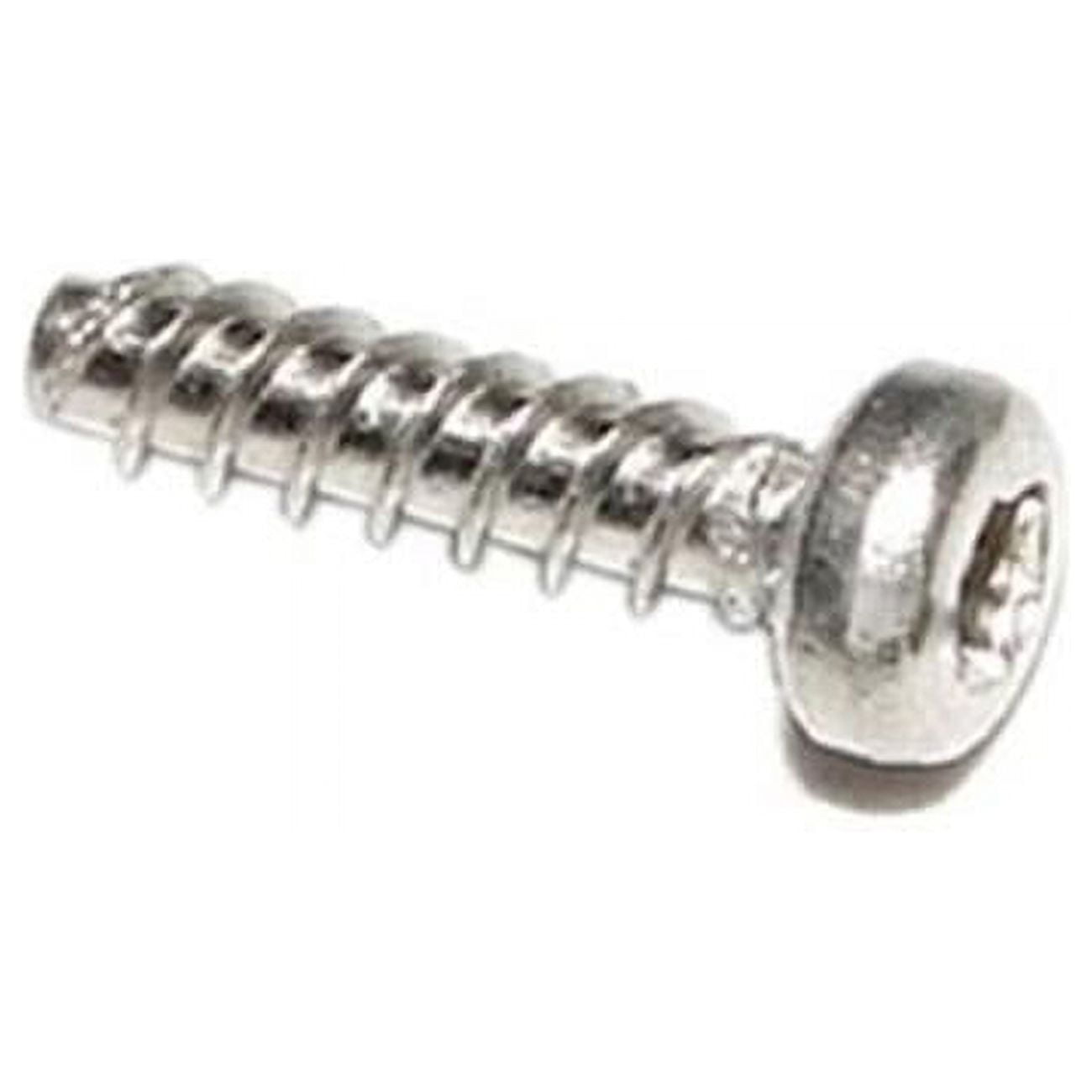 Hayward RCX12009 Pan Screw - Walmart.com