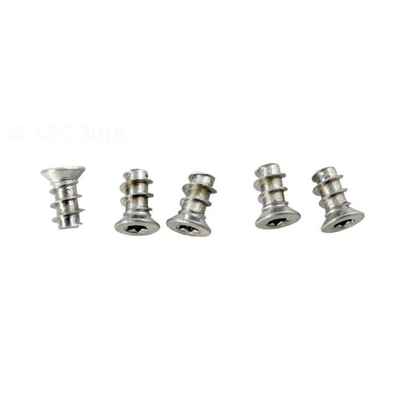 Hayward RCX97459 10-MM Screw Torx 5-Pack - Walmart.com