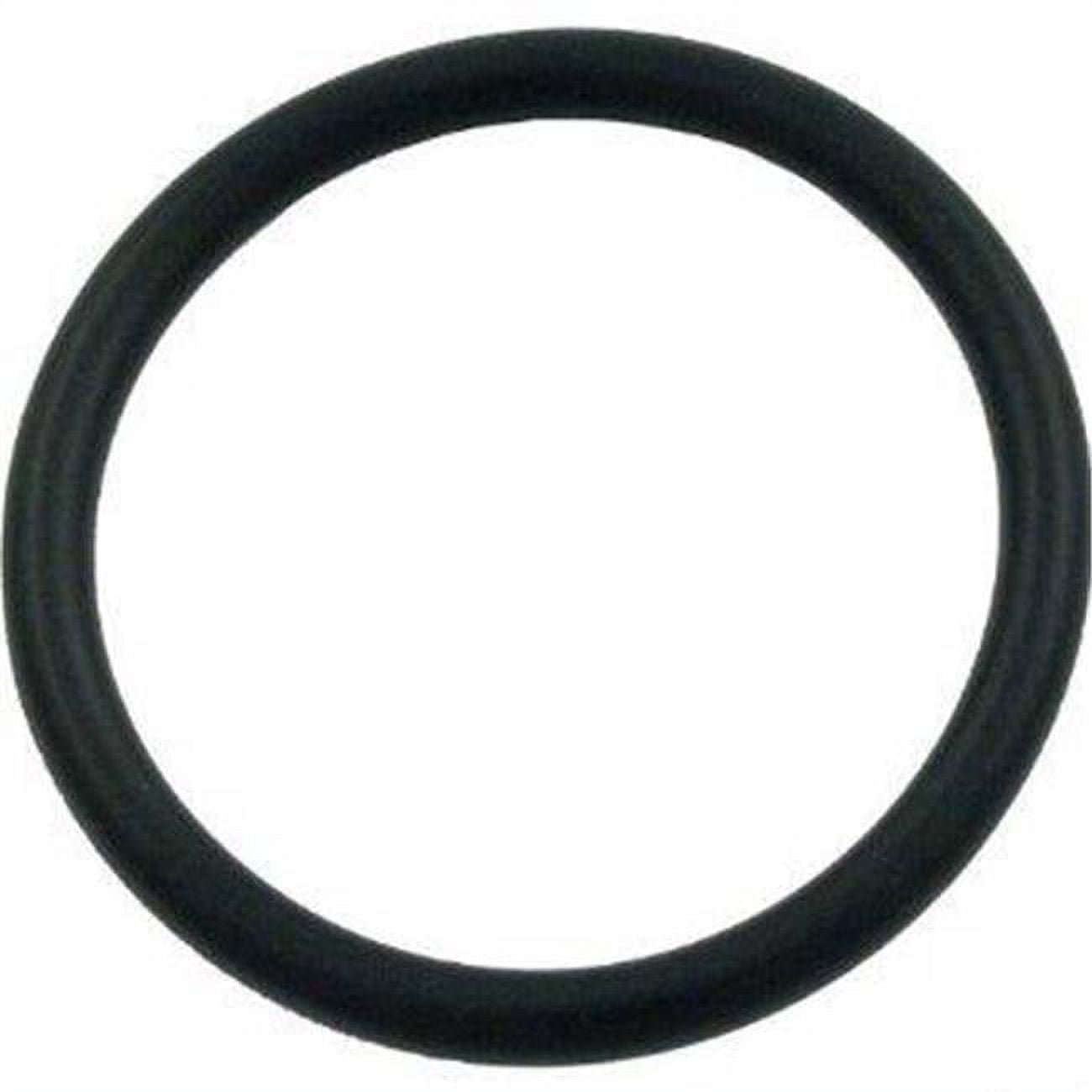 Hayward SPX0410Z2 Large Piston O-Ring for Slide Valve - Walmart.com