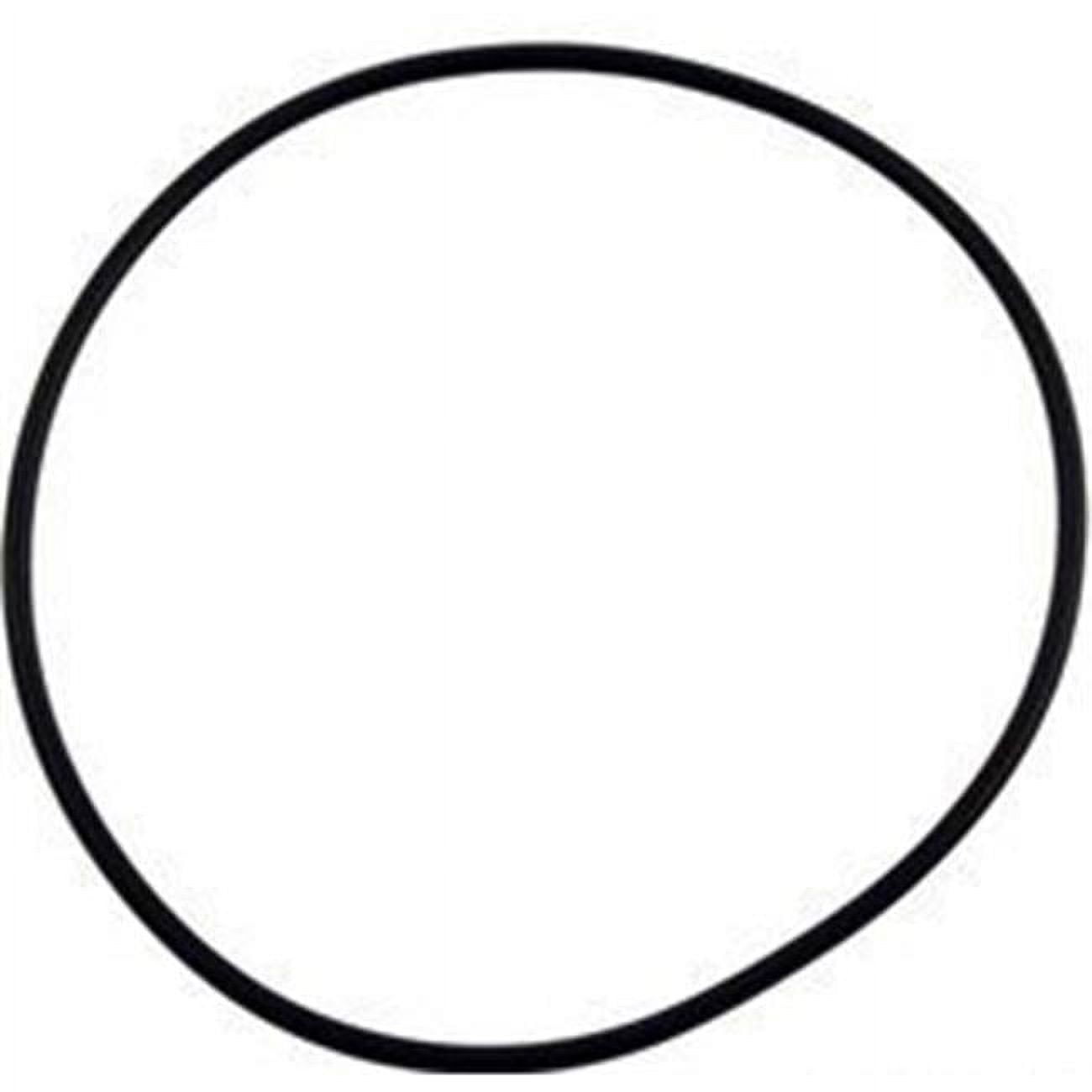 Hayward SPX0710Z3 O Ring Cover - Walmart.com