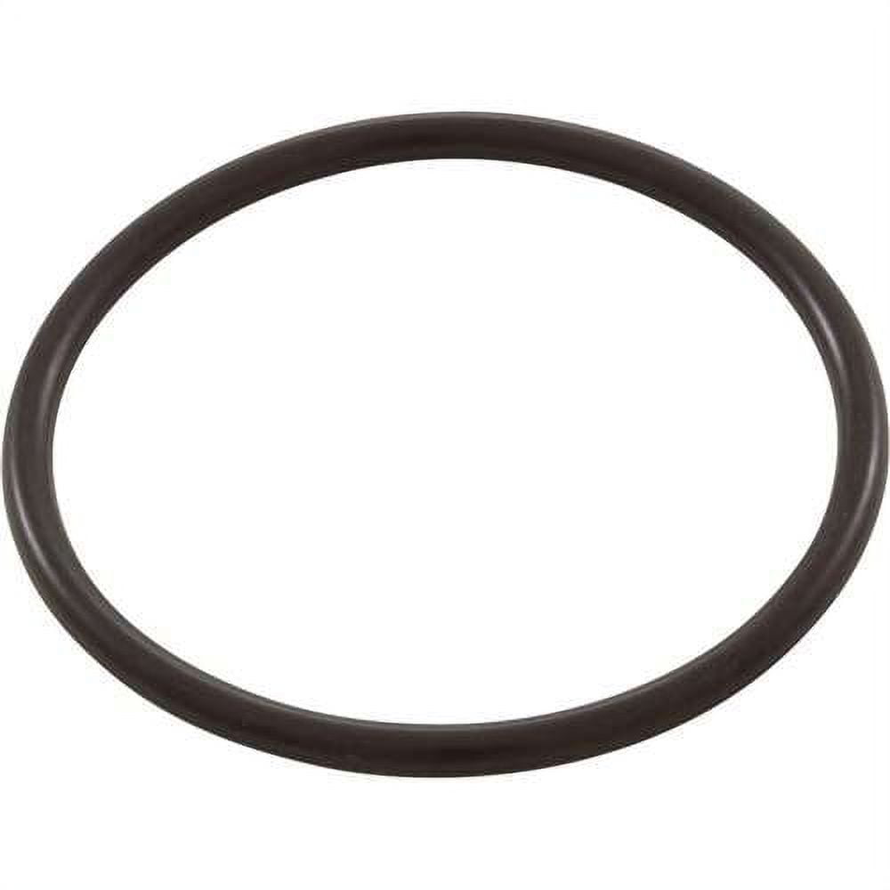 Hayward SPX1425Z6 - Replacement O-Ring for Floor Inlets, Unions, and ...