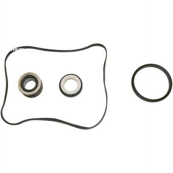 Hayward Seal Assembly Kit for Super Pump SPX1600TRA - Walmart.com