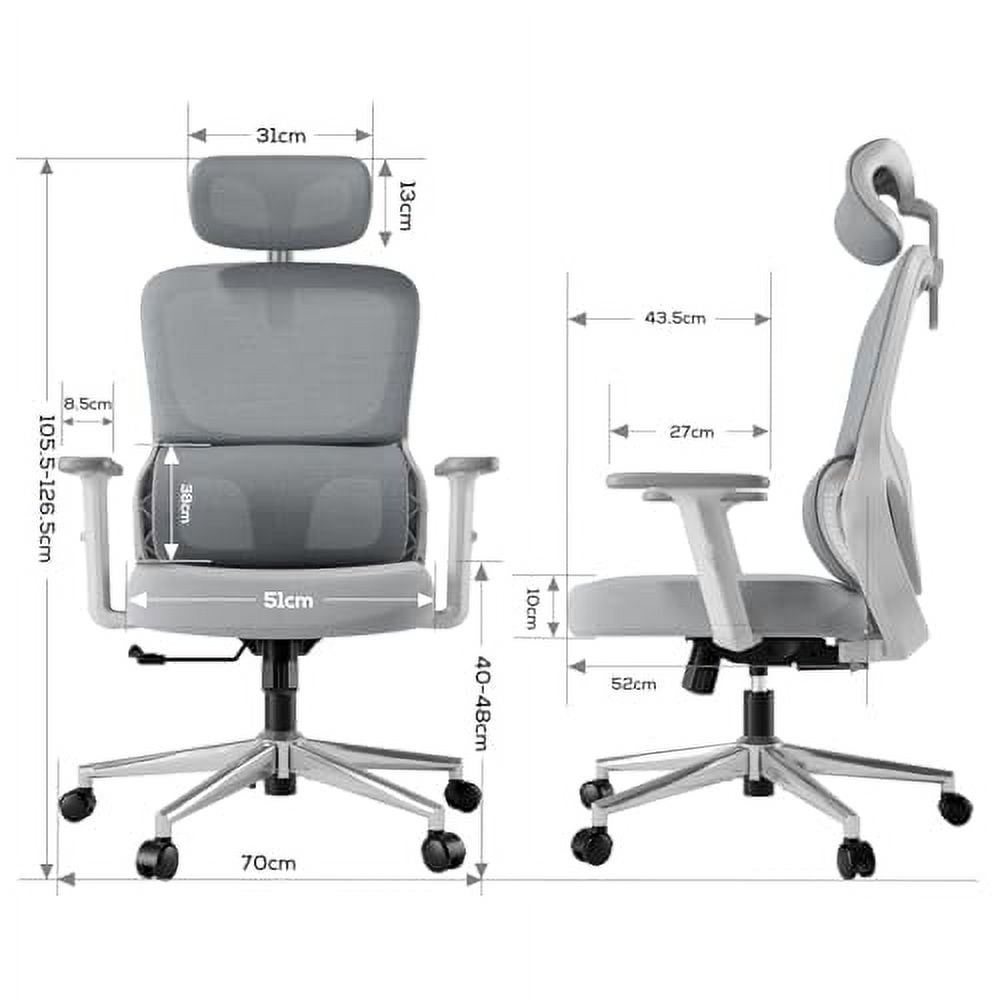 Hbada P2 Ergonomic Office Chair, Computer Chair with 3D Adjustable Lumbar Support, Adjustable 2D ...
