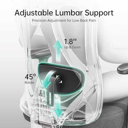 Hbada P3 Ergonnomic Office Chair with 2D Adjustable Lumbar Support ...