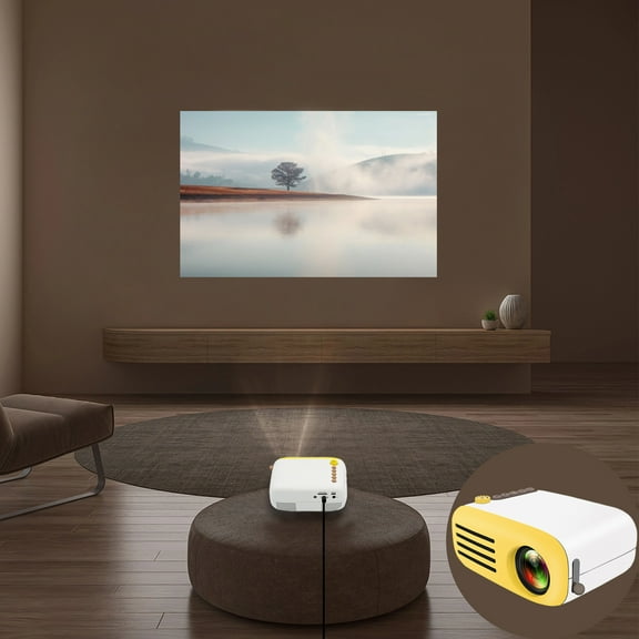 Roku Projector