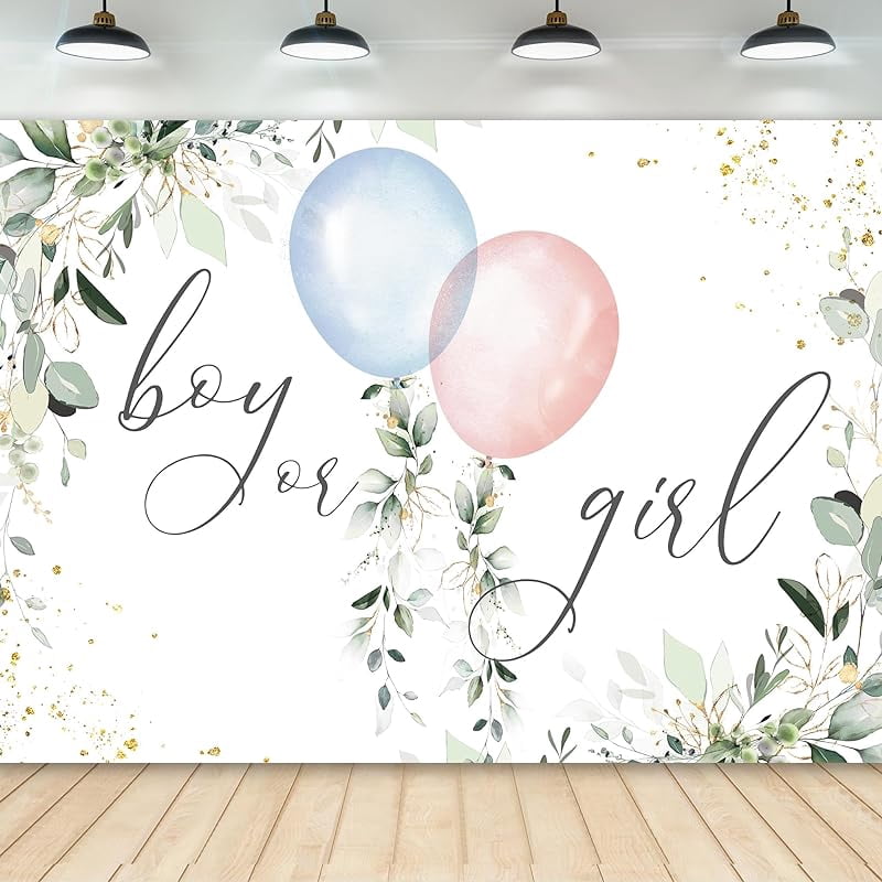 He Or She Gender Reveal Backdrop Boy or Girl Pink Cloud What Will Baby ...